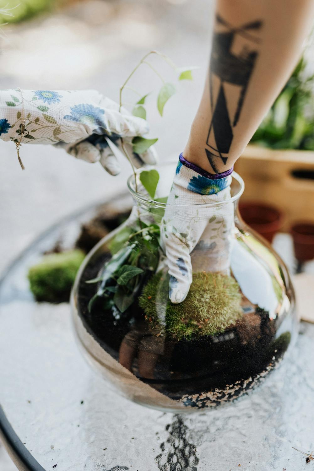 How to Make Terrariums: A Step-by-step Guide to Building Your Own Tiny World - Grow a Home Garden