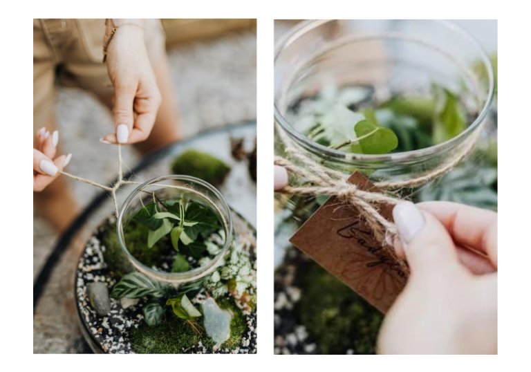 What is a Terrarium and How to set up a Terrarium? - Grow a Home Garden