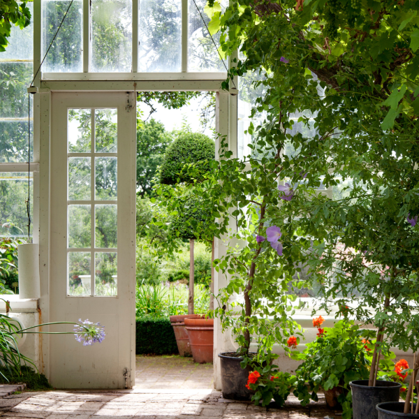 10 Best Gardening Books for Beginners and Experts - Grow a Home Garden